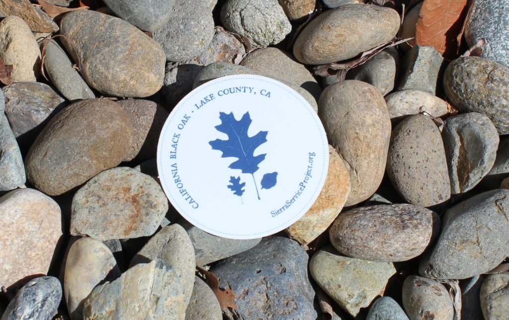 2020 Community Stickers – Sierra Service Project