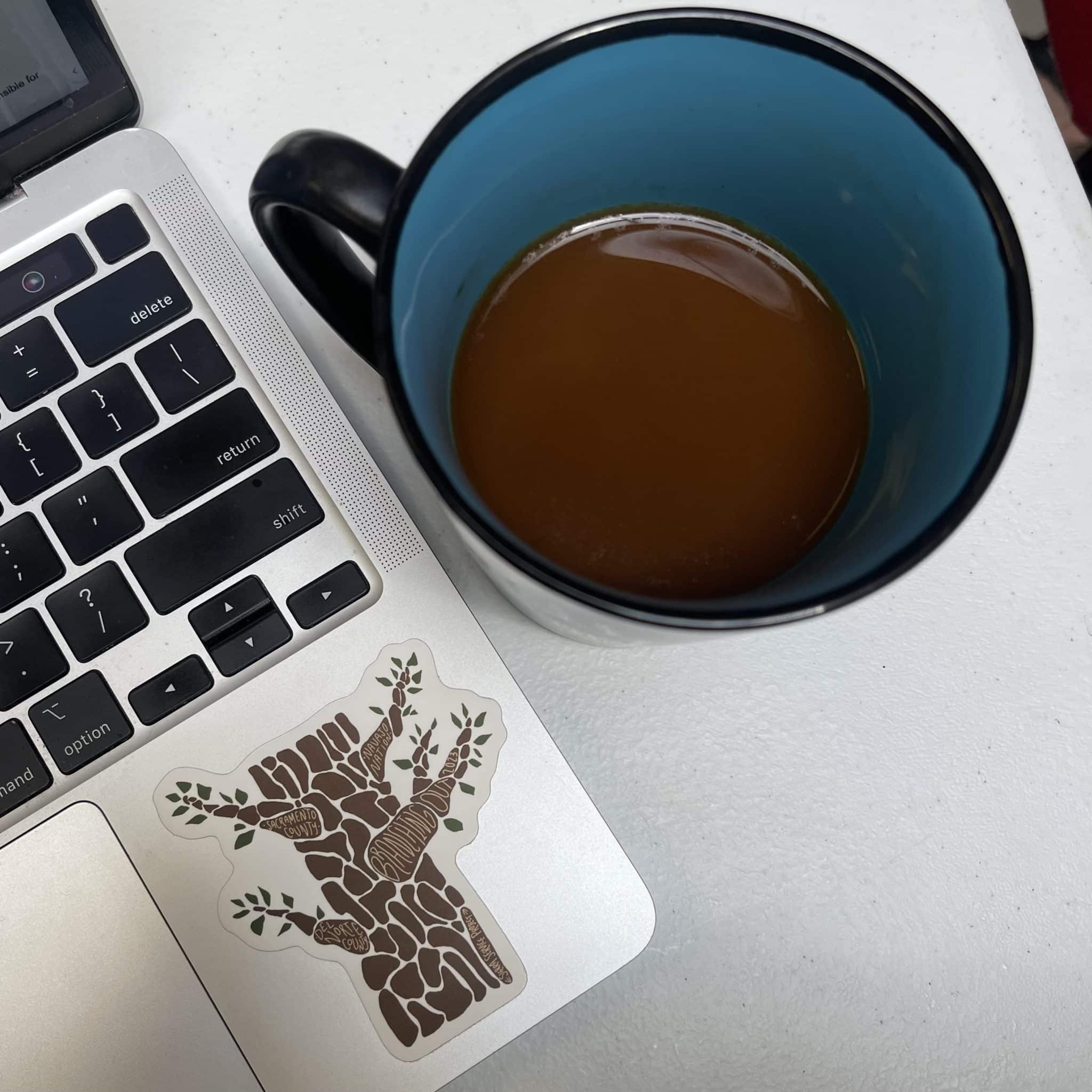 2023 sticker IRL – Sierra Service Project